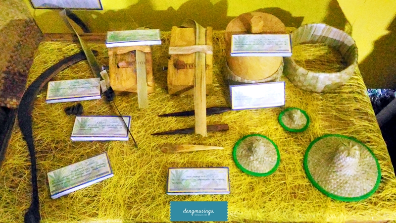 Cavinti, Laguna Is Home To The World's Largest Sambalilo | Dems Angeles